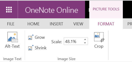 Grow, Shrink, Scale, and Crop an Image with OneNote Online - Kelly LaForest