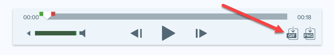 How to Create a GIF using TechSmith Snagit 13 Editor - Kelly LaForest