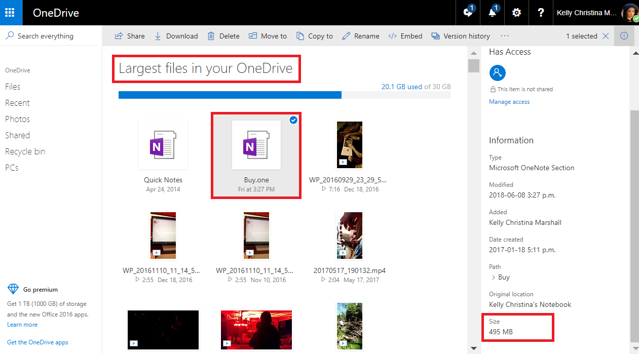 How OneNote Page Version History Affects OneDrive Storage - Kelly LaForest
